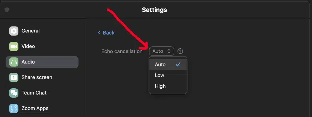 Zoom Audio Settings For Music Lessons | Piano Fantasy